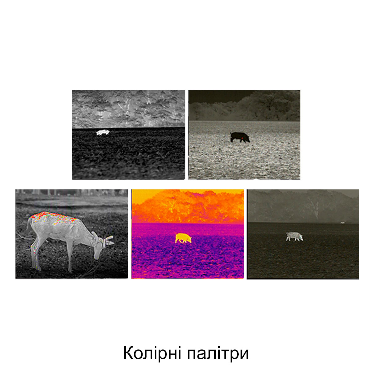 Тепловізор IRAY Eye E3w – ціна, купити в Україні